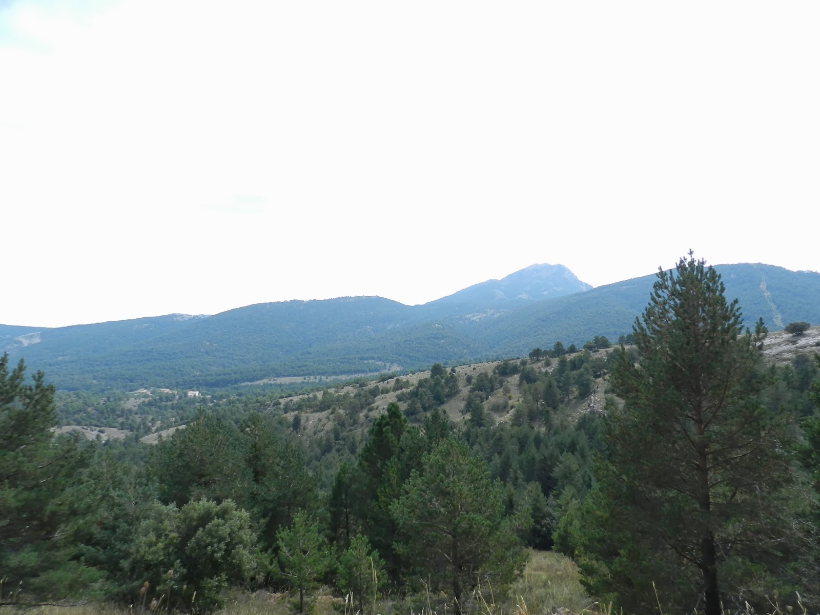 Senderismo y botánica: El Peñagolosa - El Rebollar