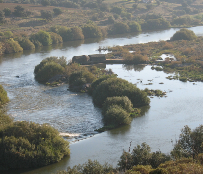 QUINTOS: Quintos, na rota do Guadiana