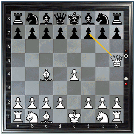 MadWash Chess: The Matrix