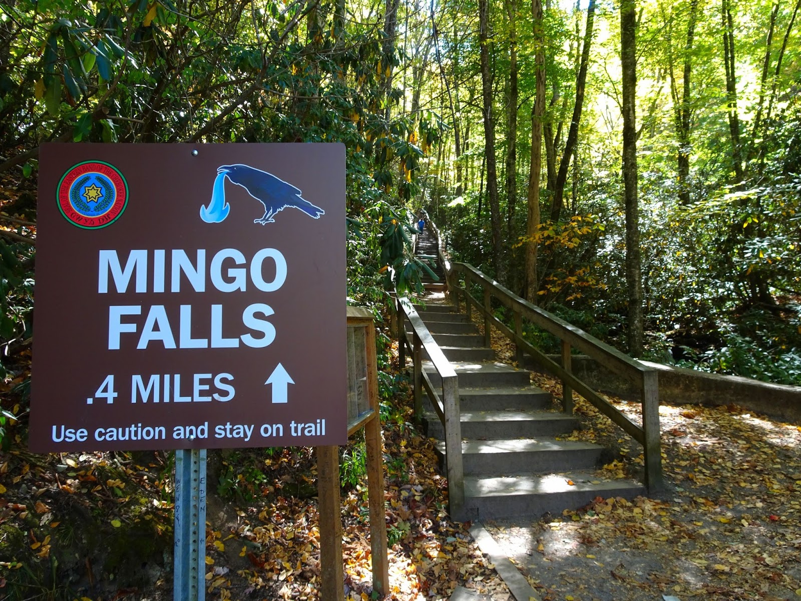 Femme au foyer: Mingo Falls and Cherokee, NC