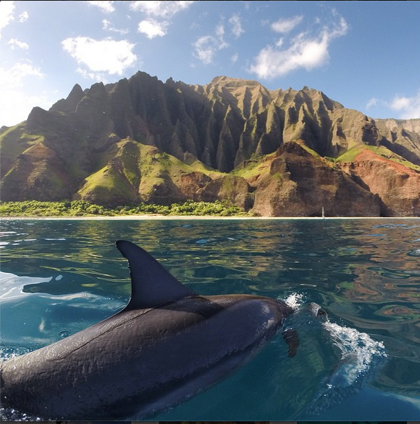 Archipiélago de Hawaii: Fauna y Flora