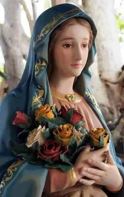 Maria Divine Mercy's Messages of The Warning and The Second Coming of ...