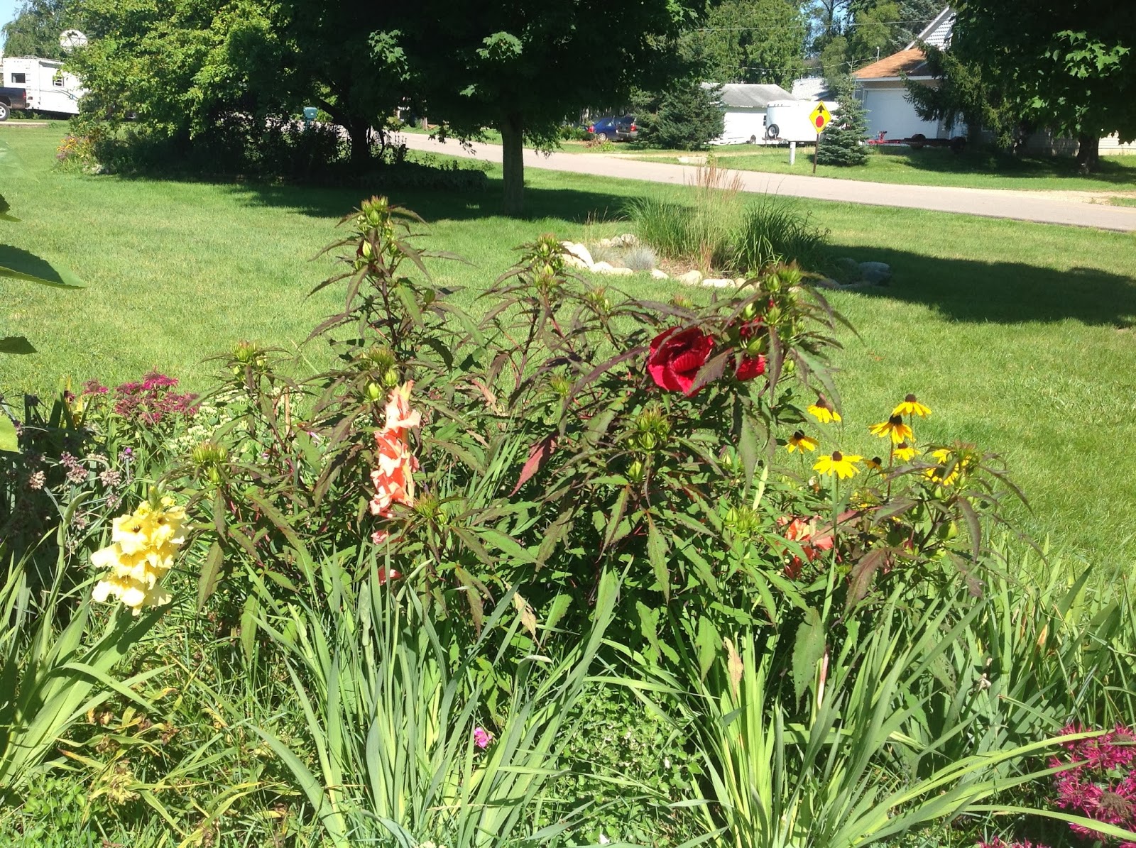 Beth Sexton Realtor in Southwestern Michigan