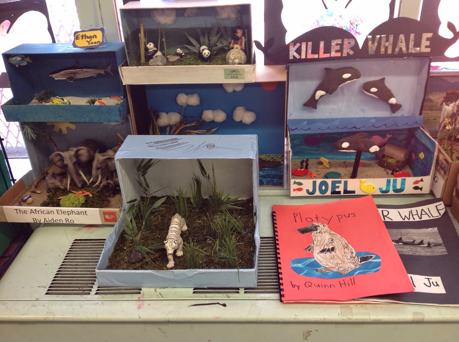 Animal Report and Diorama Projects