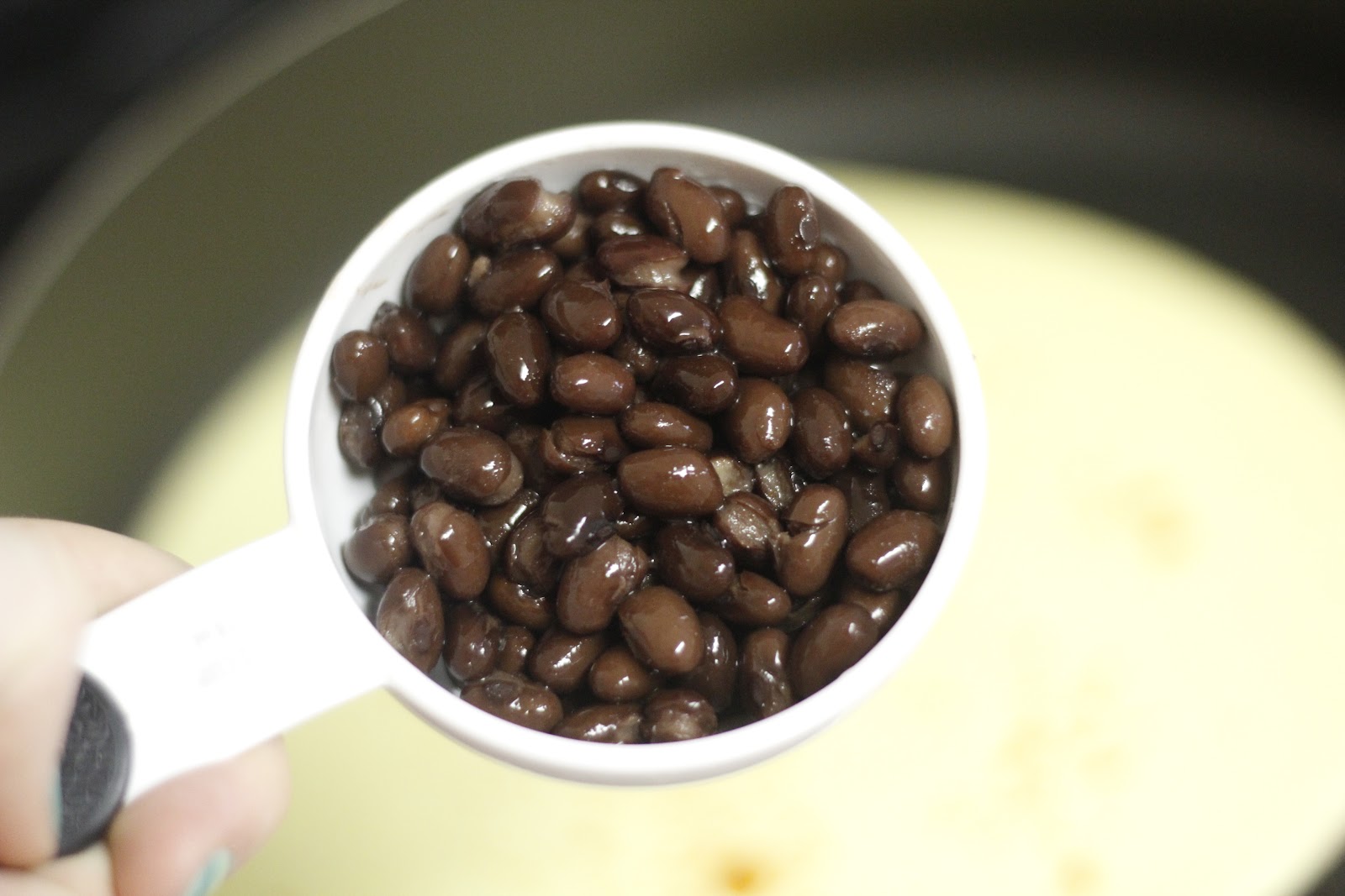 Mac&Cheese&Peas: WILD HARVEST: Black Bean and Mango Salsa Omlette