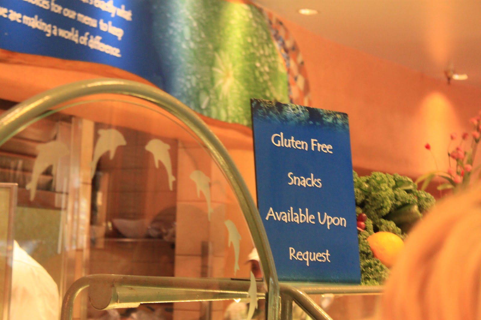 Laura Schmitt NE: Gluten Free Discovery Cove , Seaworld, Aquatica ...