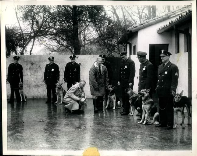 Photos of Washington D.C. Metropolitan Police M.P.D. in the 1950s ...