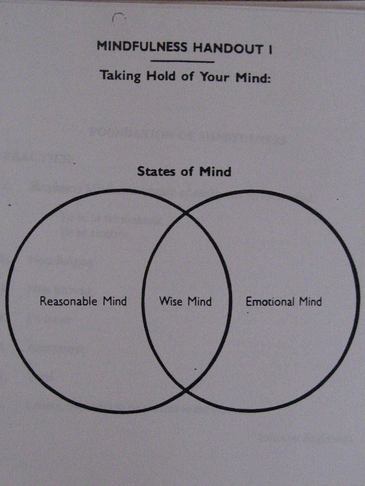 Anxiety, Lack of Appetite, and Wise Mind - Healing From Borderline ...