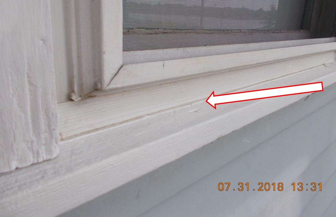 Eaton Rapids Joe: The case of the rotted window sills