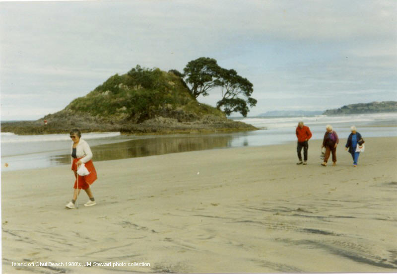 Part of the Past NZ History: Humpback Whales in Southern Pacific Seas
