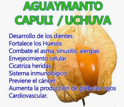 AGUAYMANTO - FRUTO PERUANO: AGUAYMANTO MEDICINAL