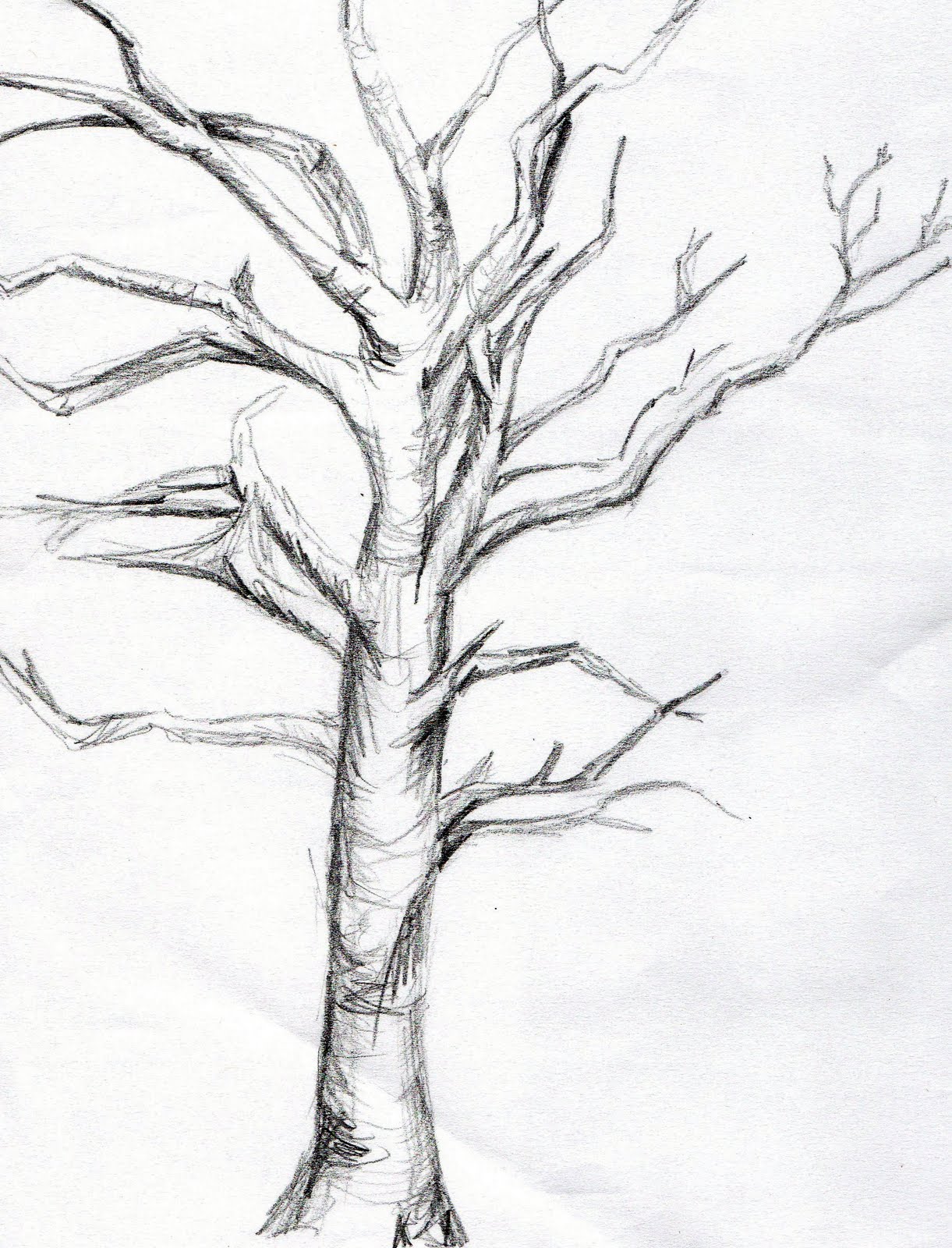 Karen's Art Blog: Project - Drawing Trees