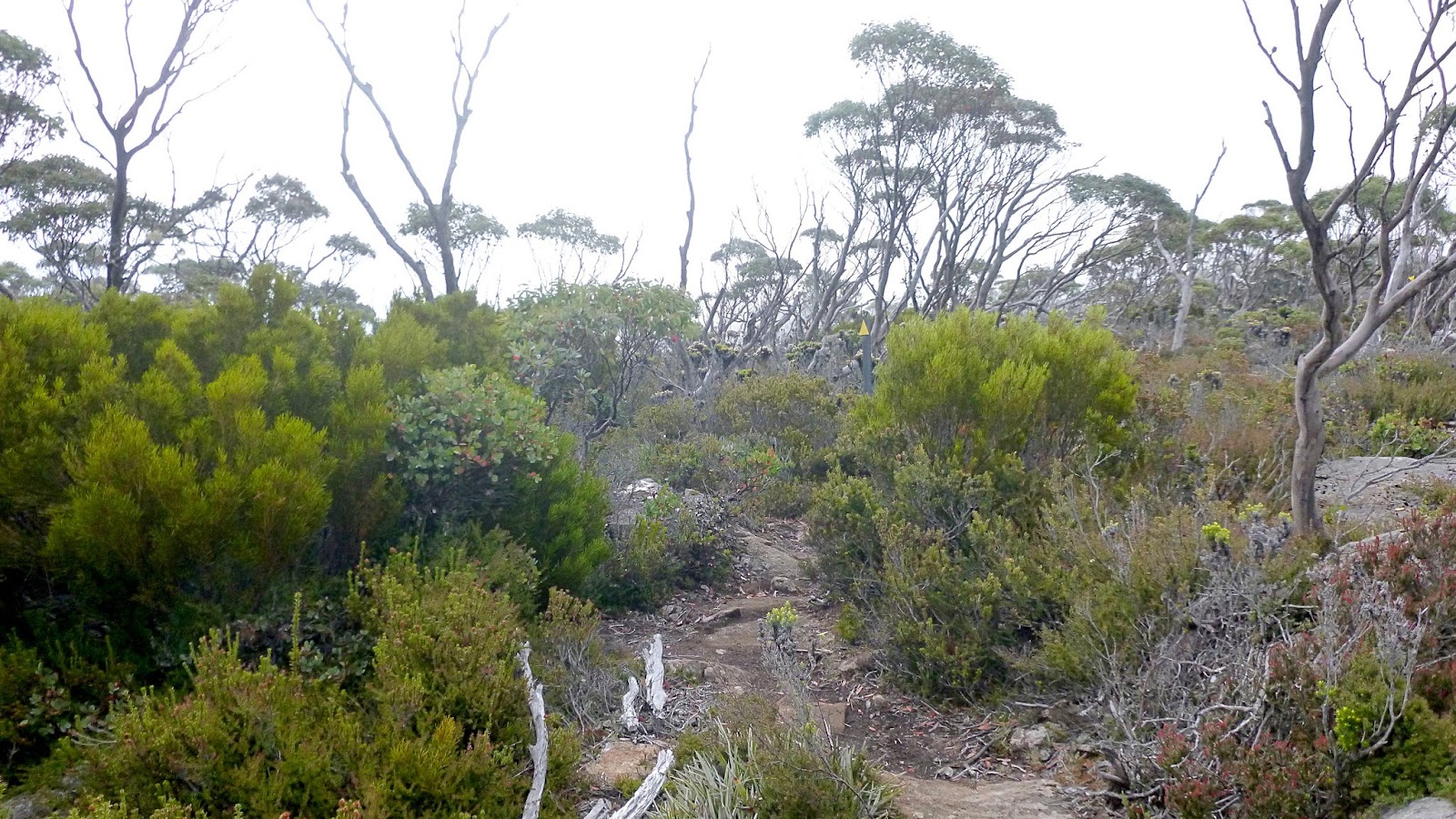 Ramblings: Thark Ridge 2017