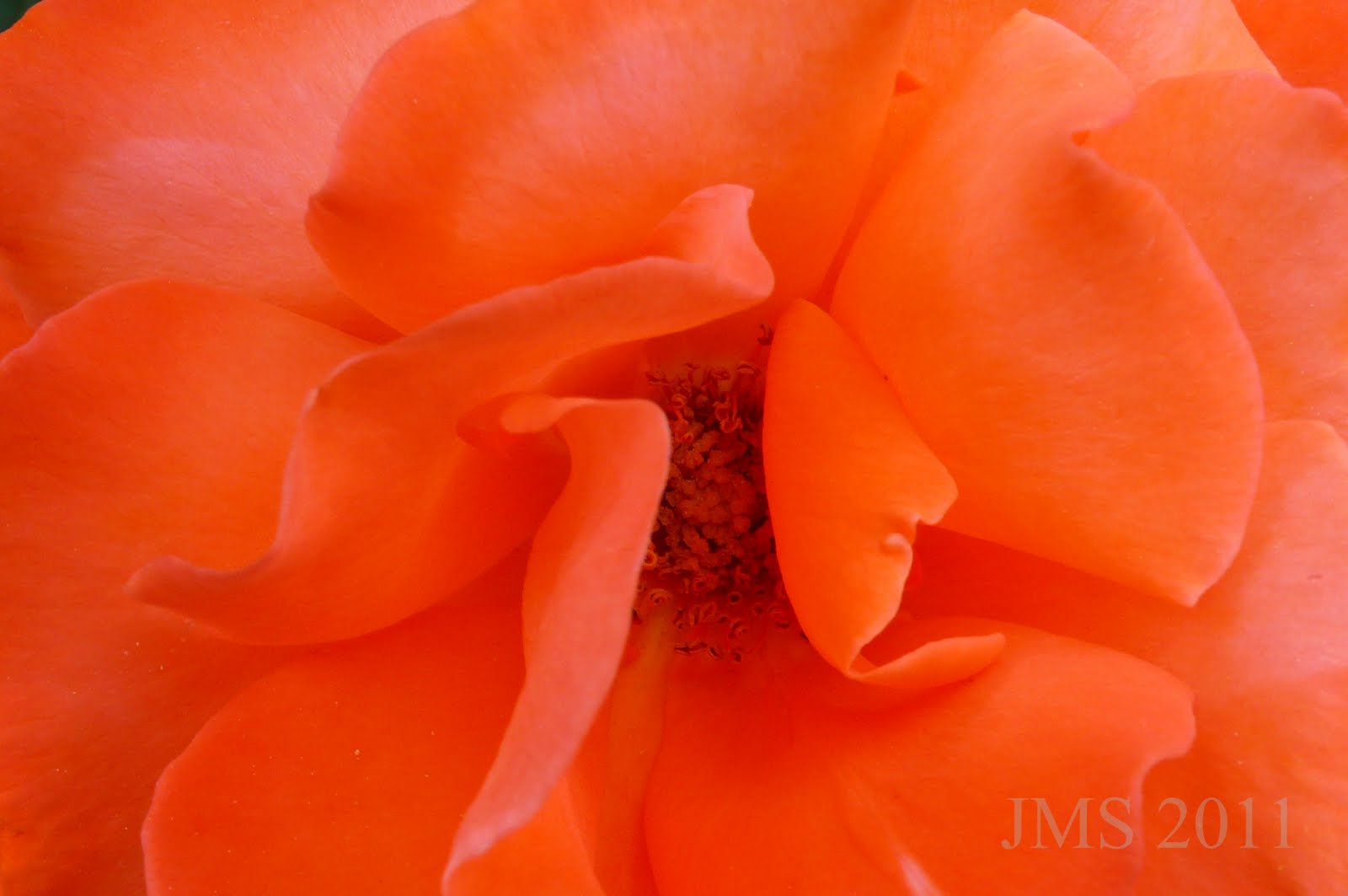 100 Snapshots: Color, Thy Name is Vermilion