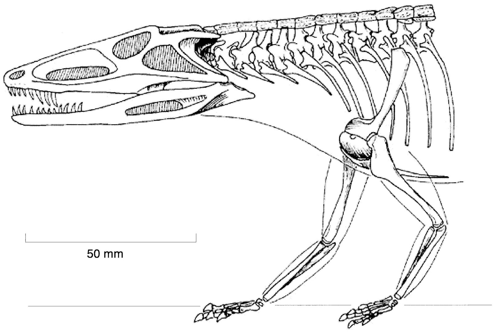 Waxing Paleontological: Adorable Triassic Pseudosuchians