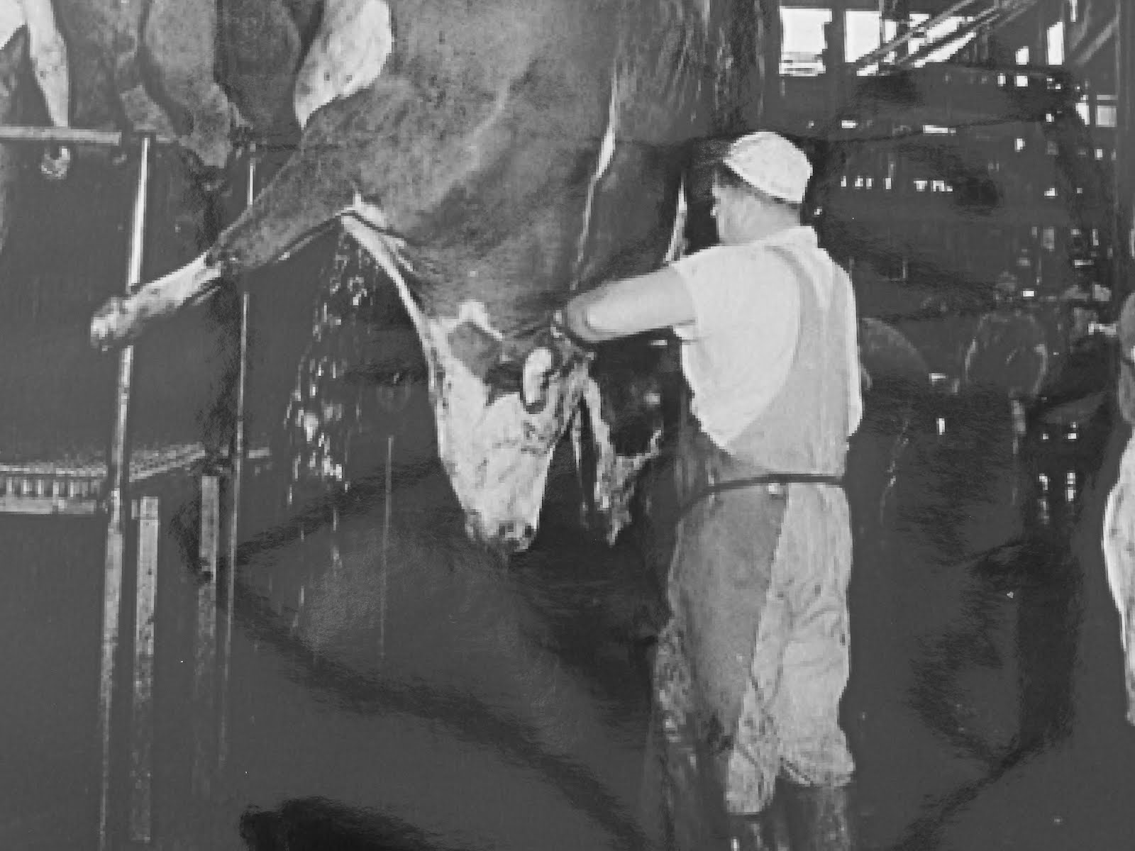 Pushing On: We Were the Poor People: The Hormel Strike of 1933