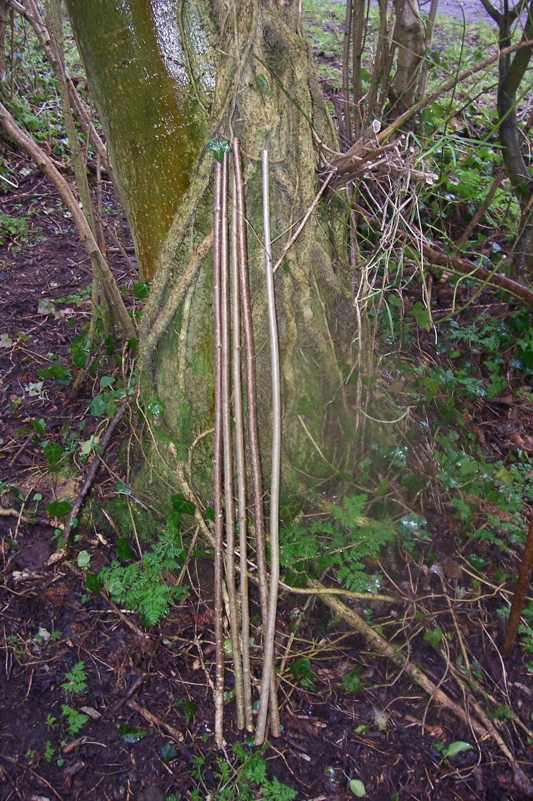 BUZZARD BUSHCRAFT: Primitive Arrows