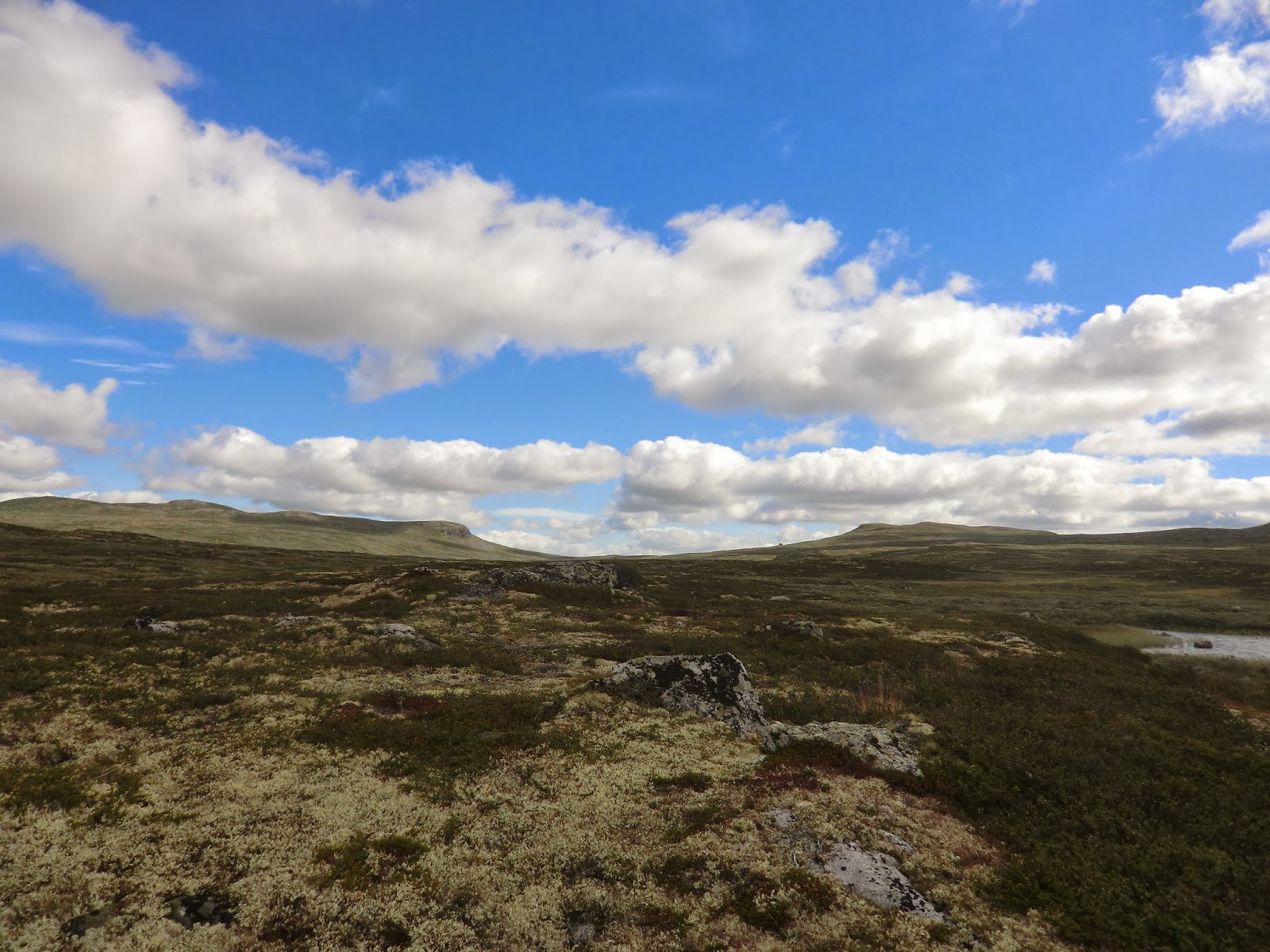 Fjell og Fjord: Mountain hiking, Hardangervidda: Geilo, Tuva, Hein ...