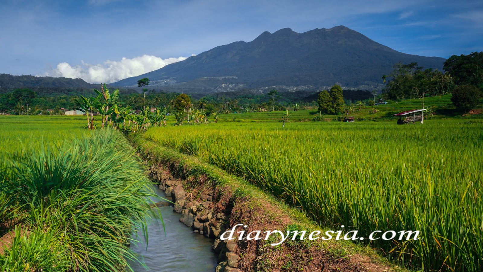 Best Mountains to Hike in Indonesia