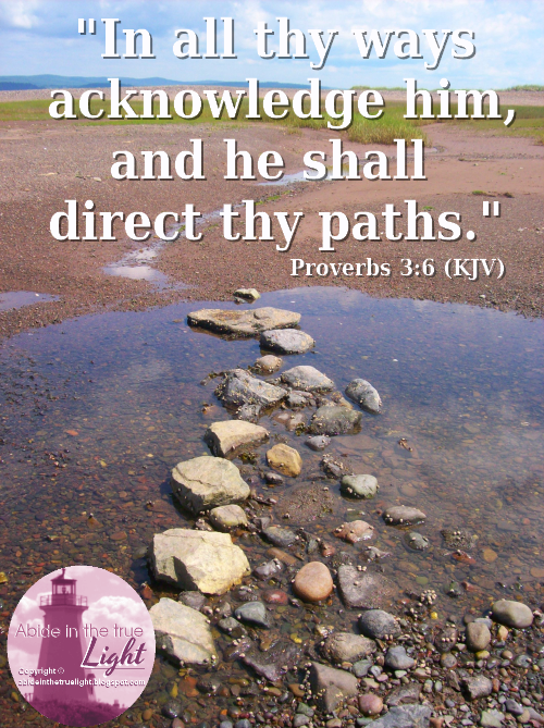 Letting God Lead The Way ~ Abide In The True Light