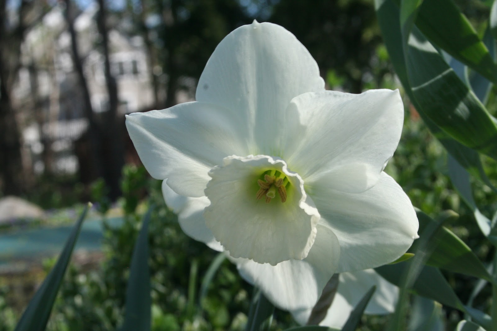 Gardens of Earthly Pleasures