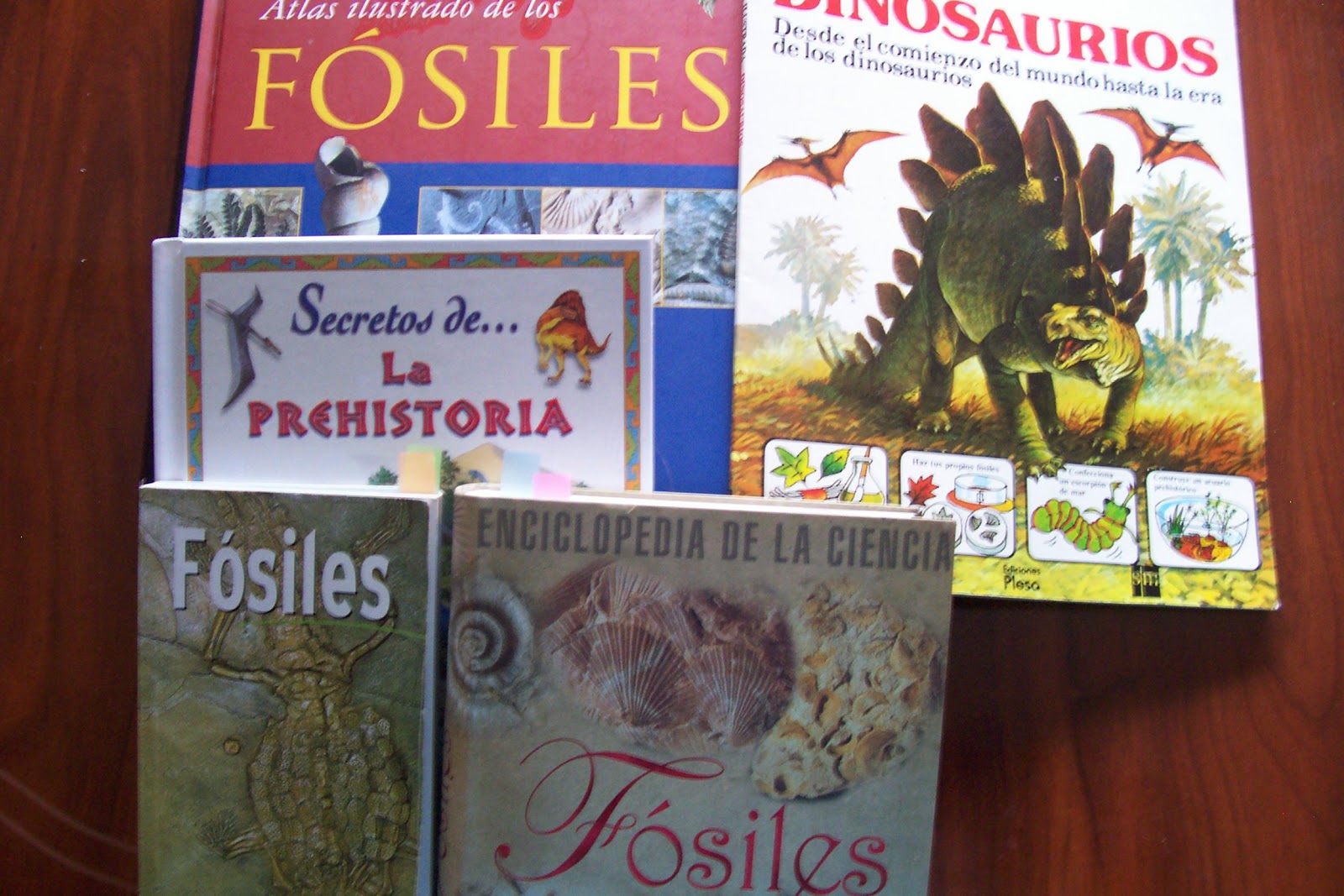 MIS FÓSILES: Algunos de mis libros de fósiles