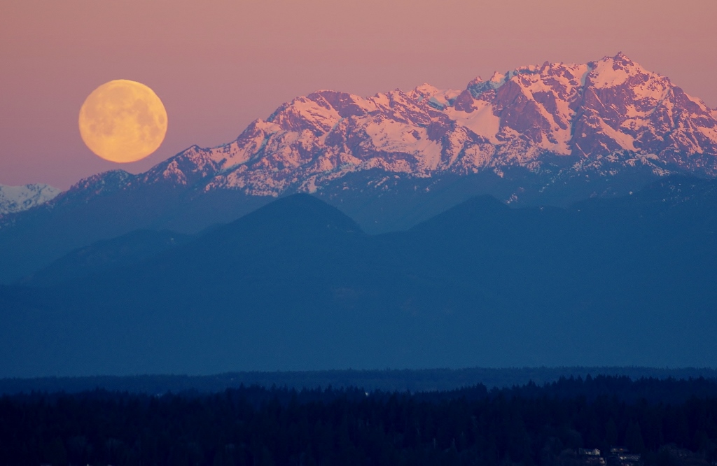 Pacific Northwest Seasons: Spring Arrives in Spectacular Style