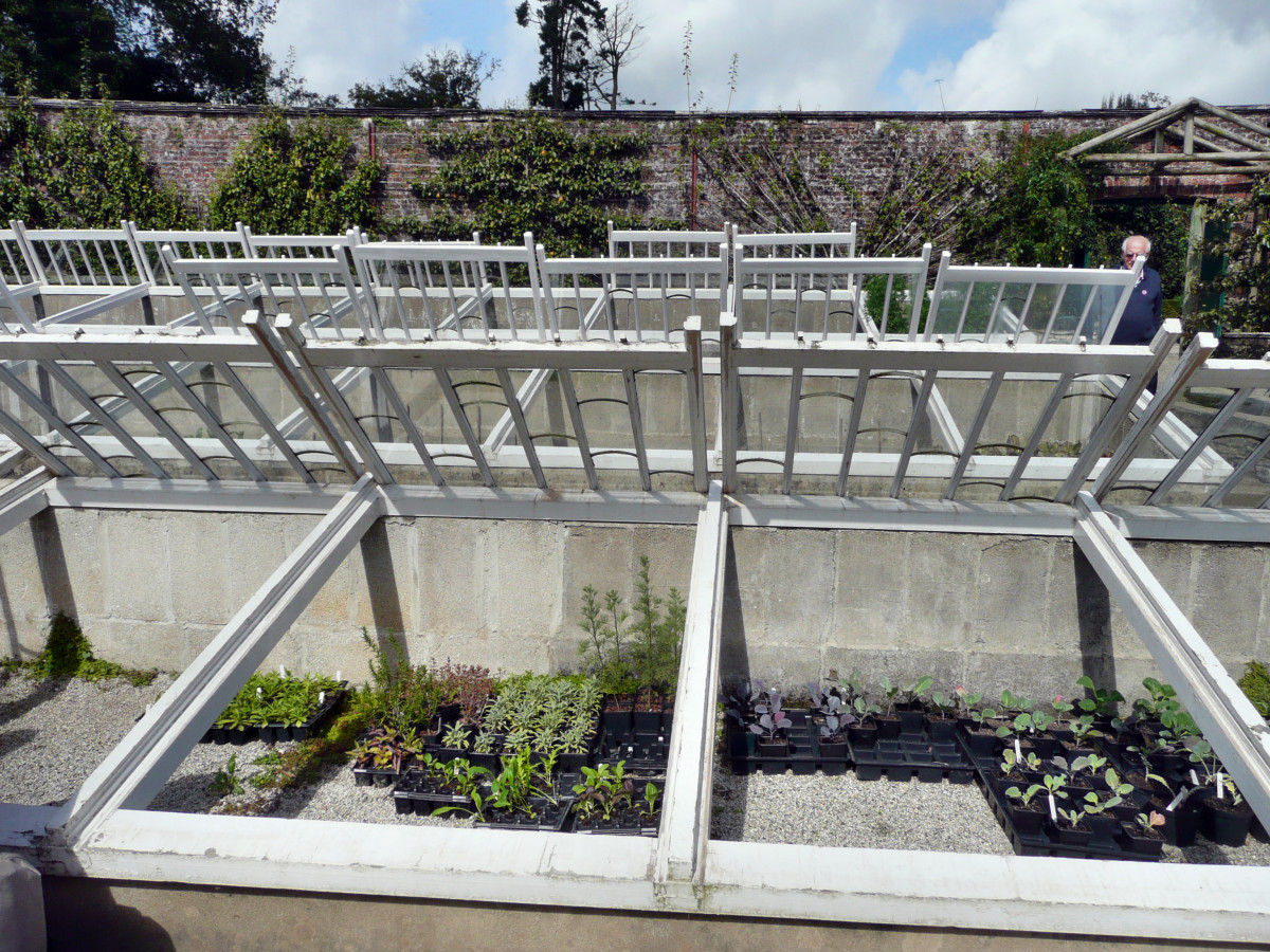 Normandy Life: The Lost Gardens of Heligan - The Productive Gardens.