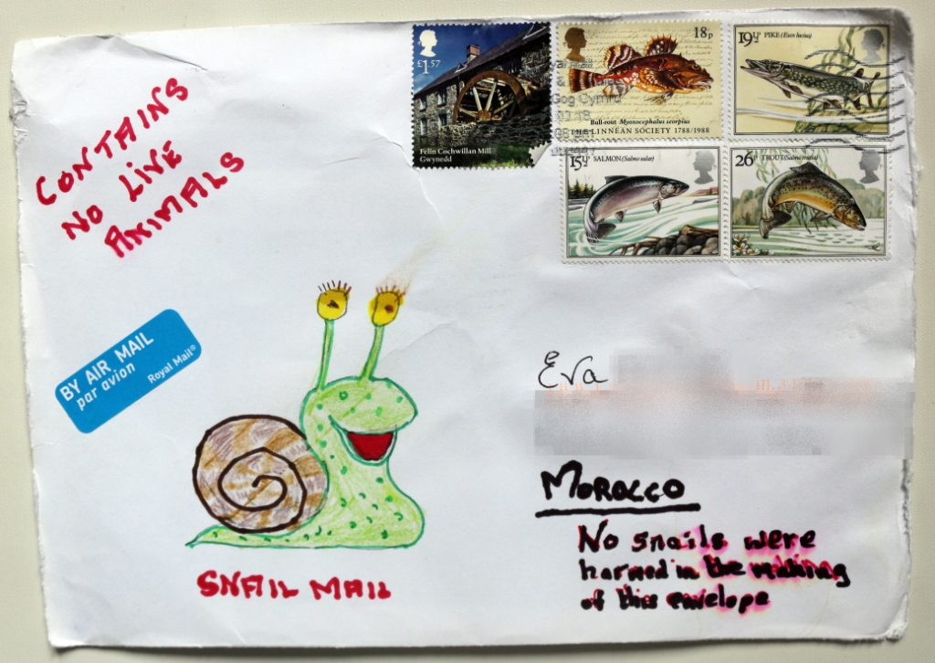Mail Adventures: Contains No Live Animals