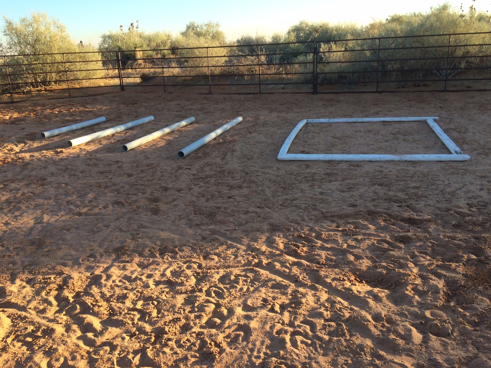 Functional Horsemanship: Arena Patterns: Ground Poles and Box
