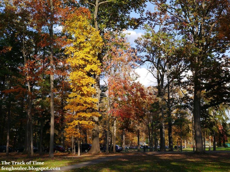 Autumn of the Elizabeth Park (1) | The Track of Time
