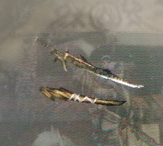 Long Sword: Nargacuga Series - MHP3rd Weapon Tree