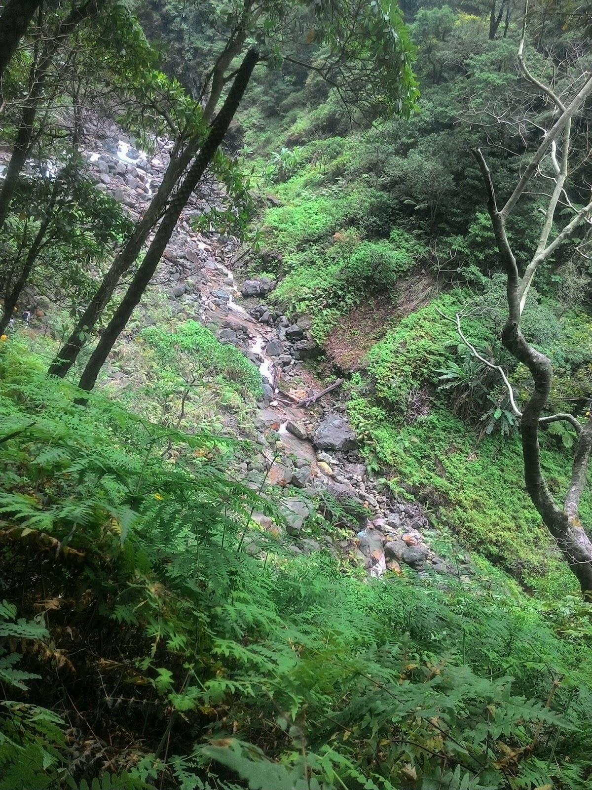 TRAVEL: Nomadic Traveling : Why Sulfur River is Worth the Climb