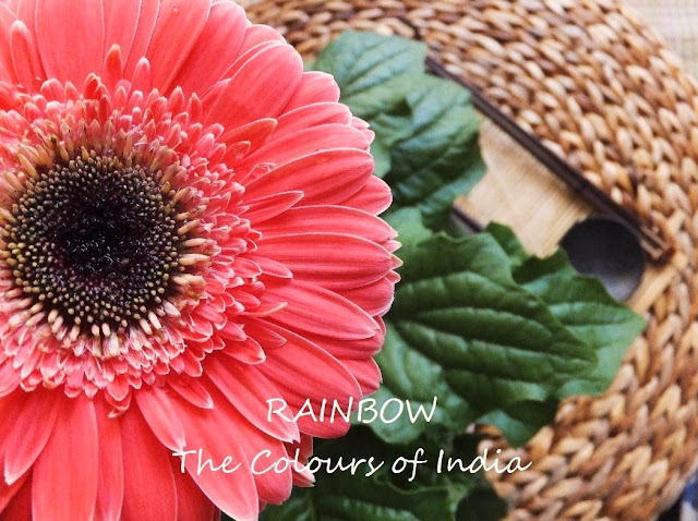 RAINBOW - The Colours of India: 2013