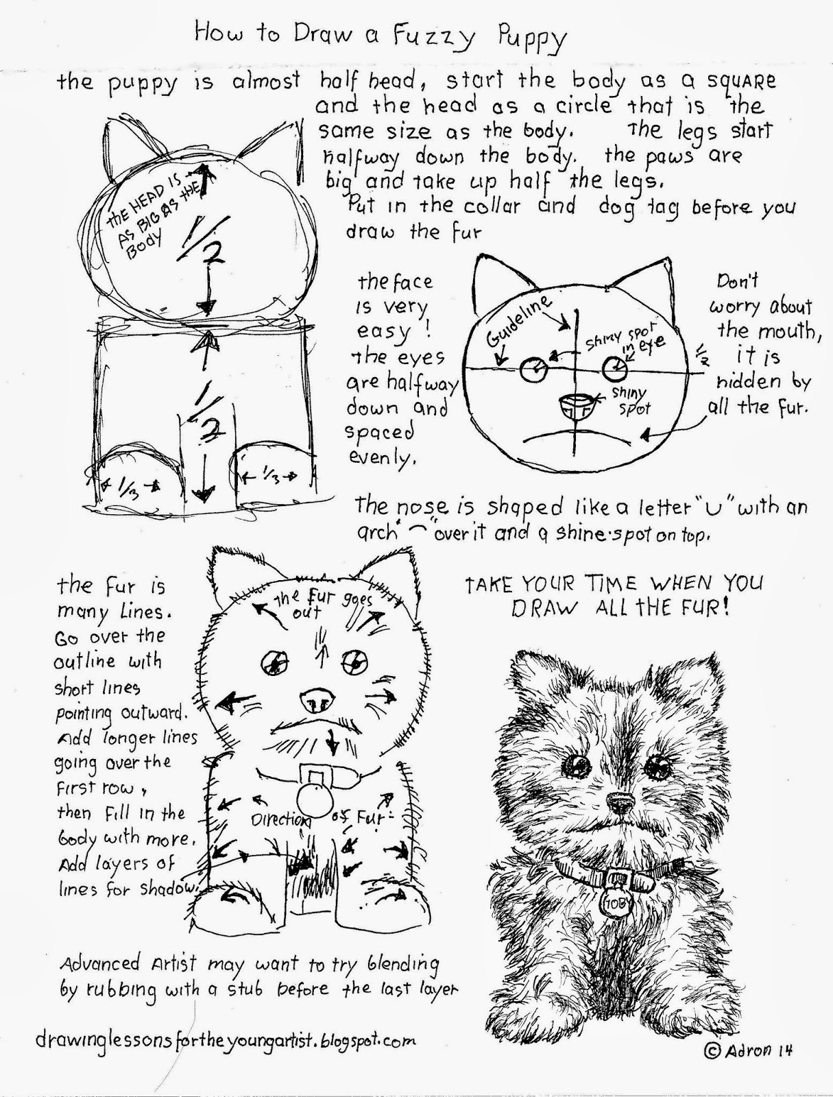 How to Draw Worksheets for The Young Artist: How To Draw A Fluffy Furry ...