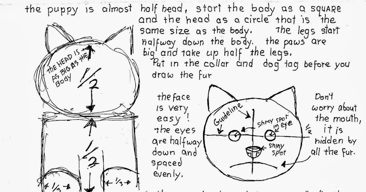 Half Cat Half Dog Drawing