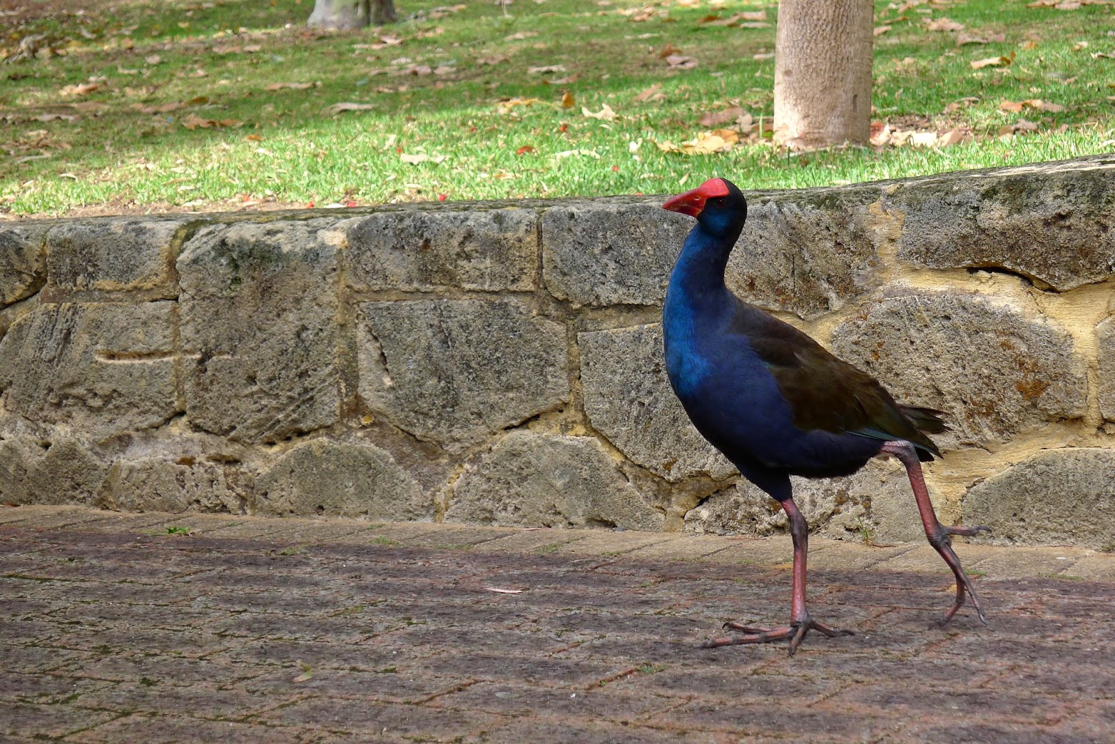 Beaux Rigènes : Back on the Road !: Joff-tchoff-tchoffo-tchoffo-tchoff ...