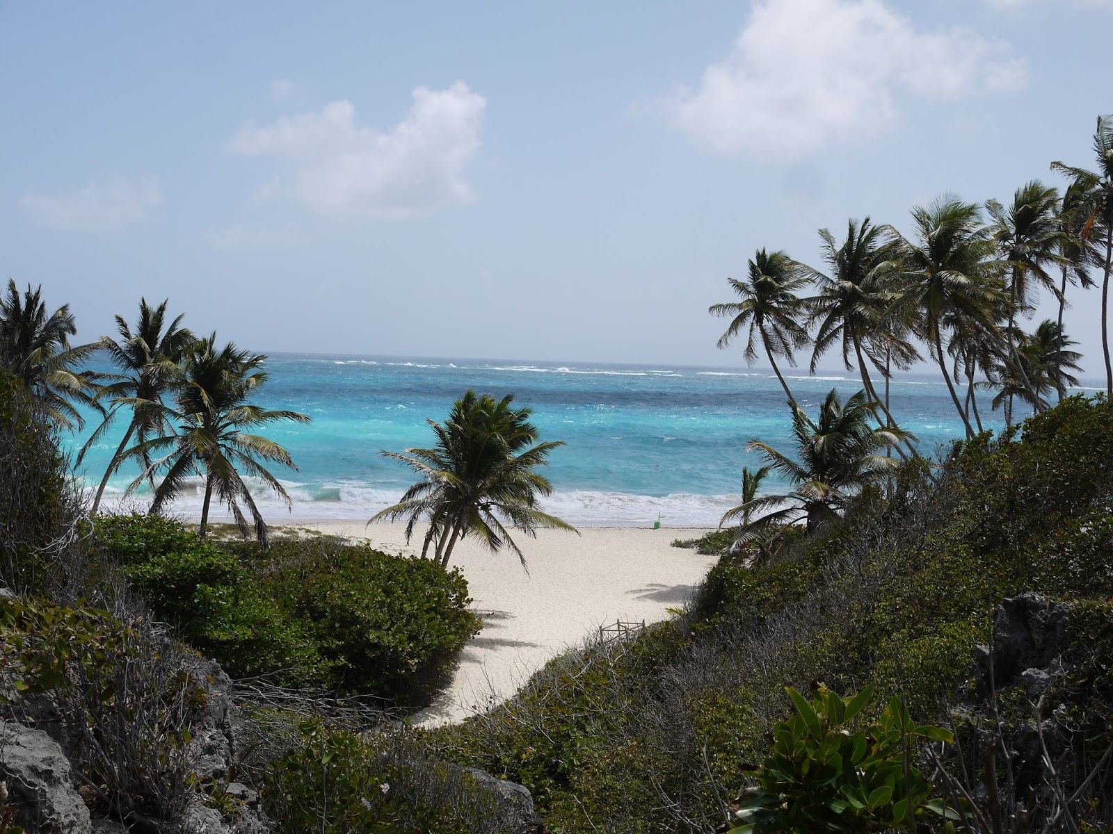Barbadosas. Pirmoji diena: Bottom Bay, kepta žuvis, nauji pažįstami ir ...