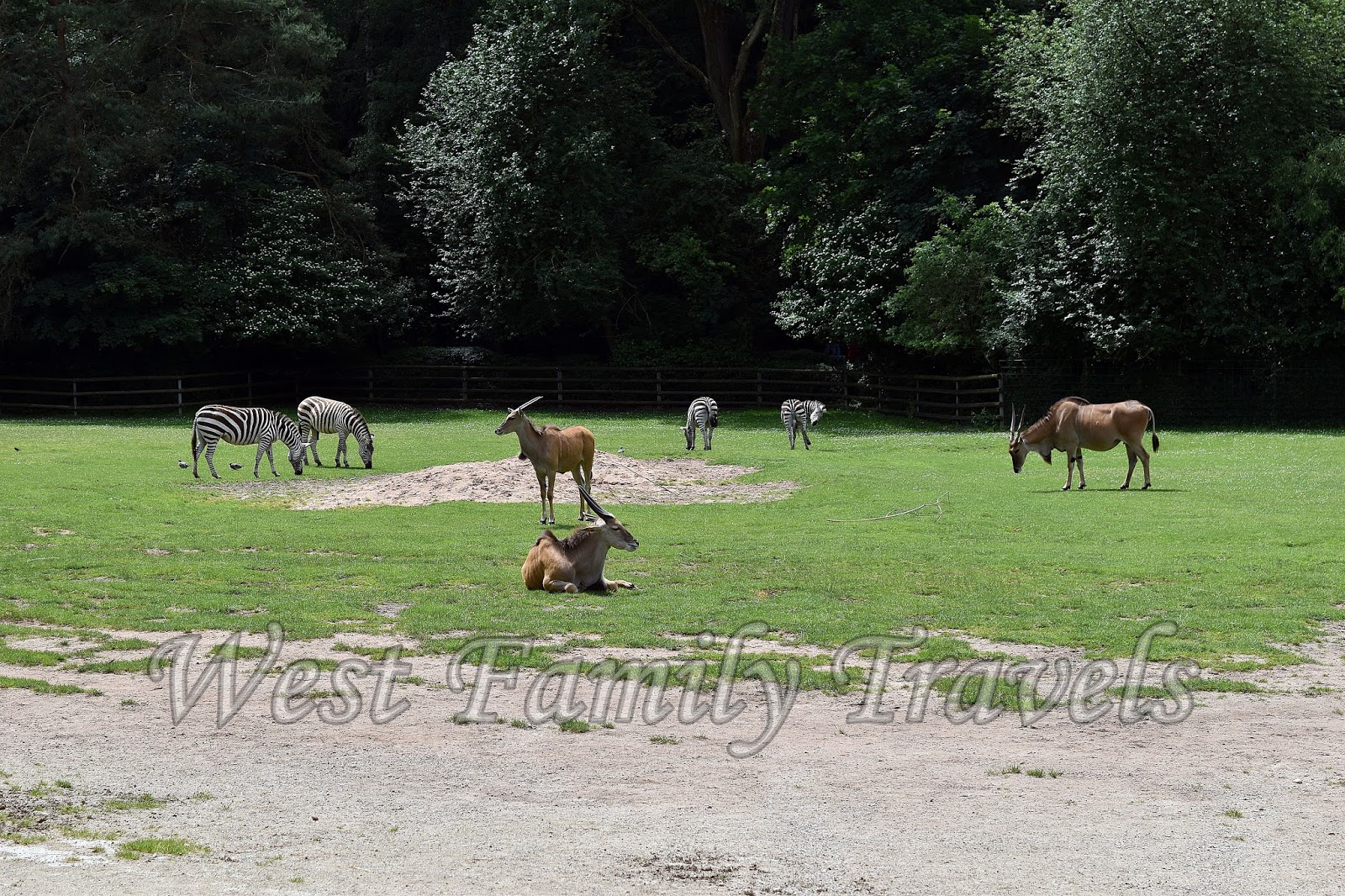 West Family Travels: Tiergarten Nuernberg (Nuernberg Zoo)