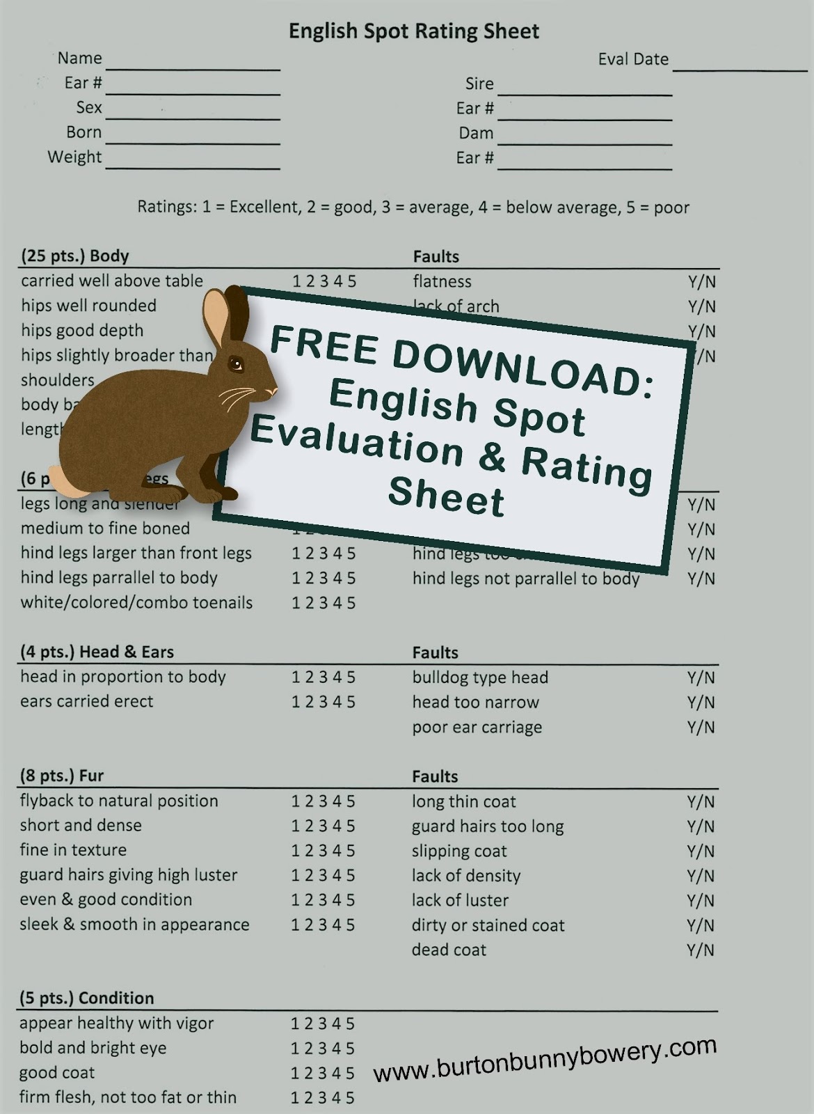 Burton Bunny Bowery Free Download English Spot Evaluation Rating Sheet burton-bunny-bowery-free-download-english-spot-evaluation-rating-sheet