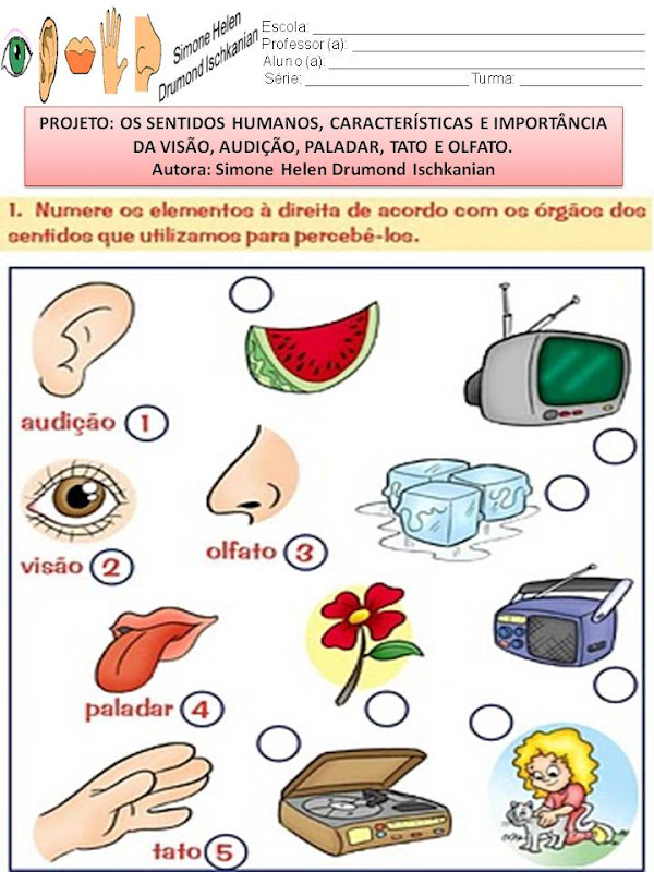 EDUCAÇÃO EM ALTO GRAU: Novas atividades órgãos dos sentidos, Os cinco ...