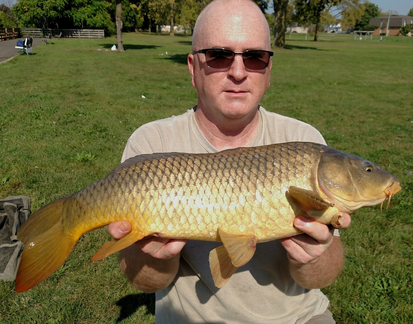 Michigan Carp Fishing Blog: Huron River