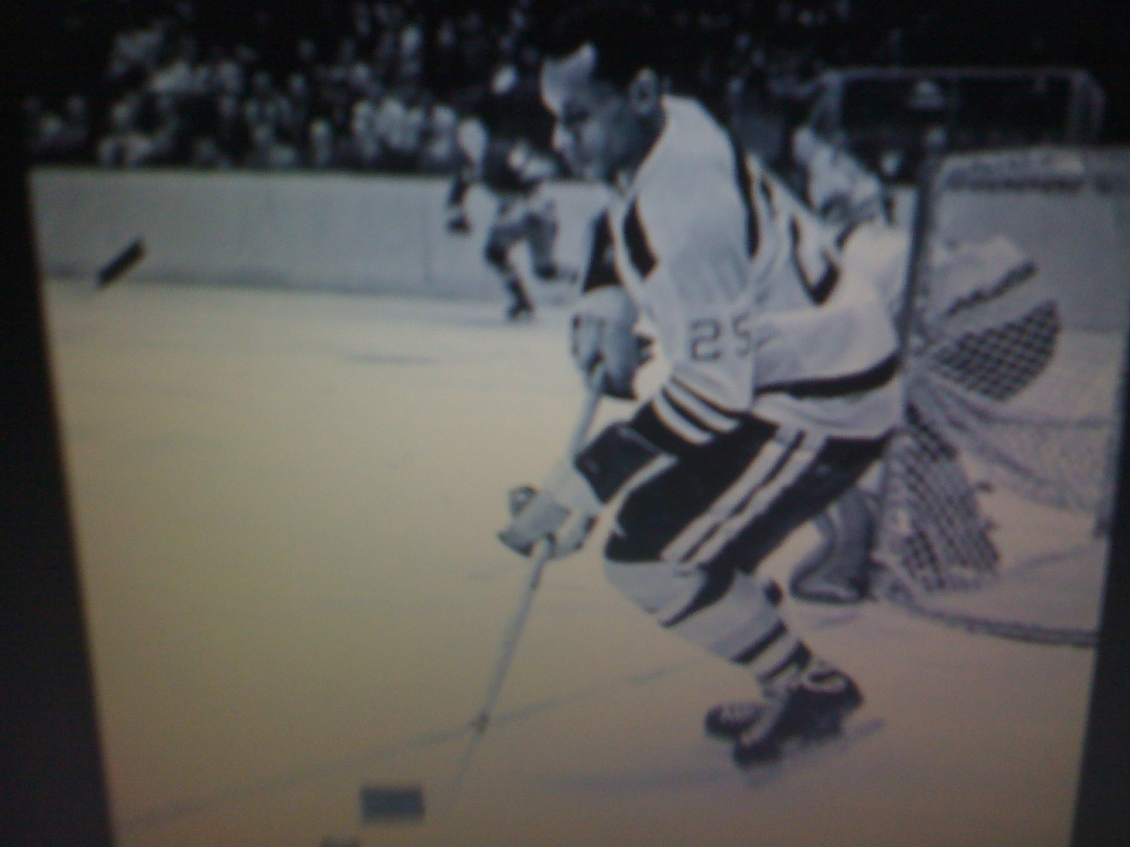 THE BLACK SOCIAL HISTORY:: BLACK SOCIAL HISTORY : AFRO-CANADIAN ...