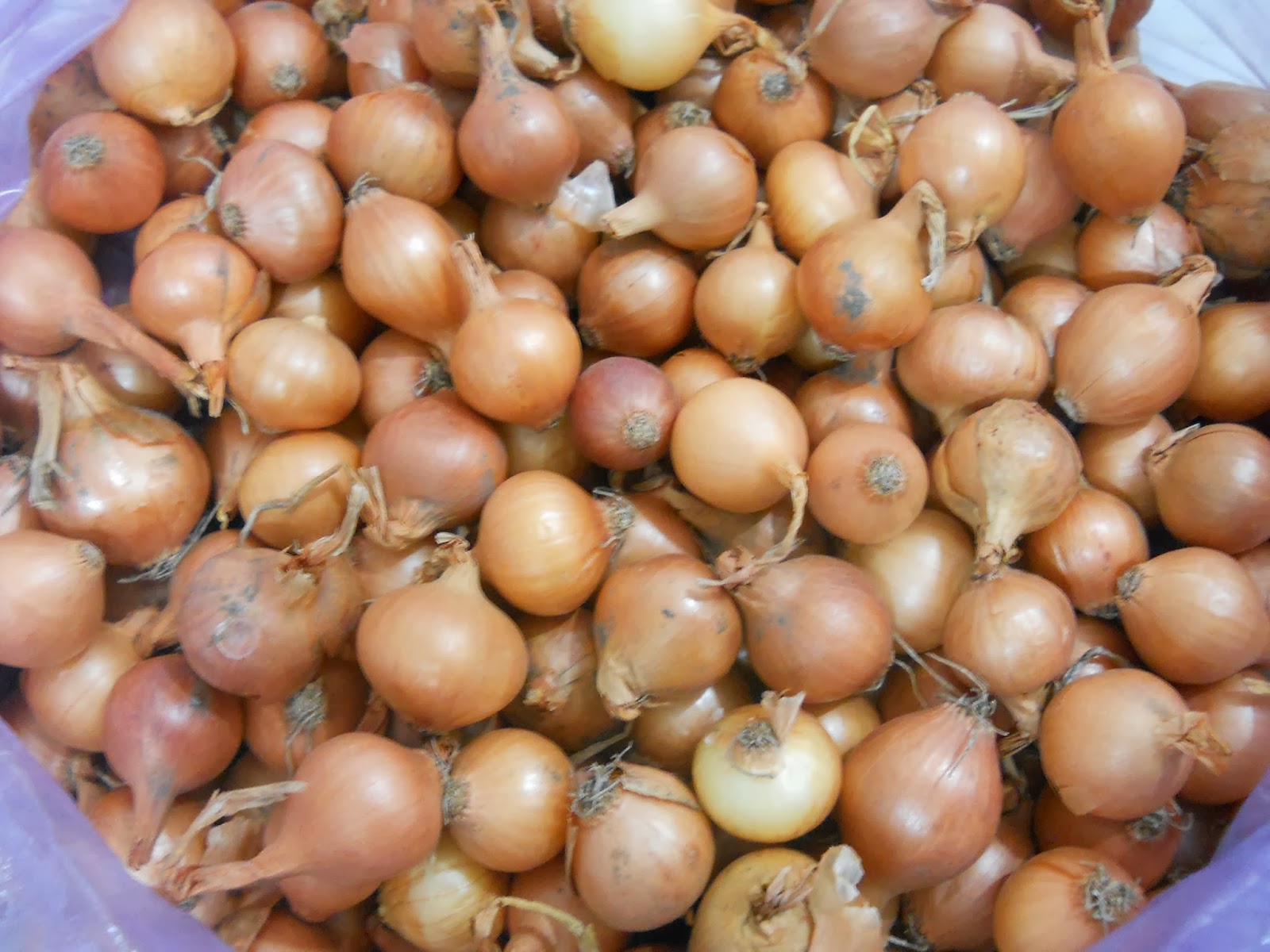 Reteta de acasa: Arpagic Murat