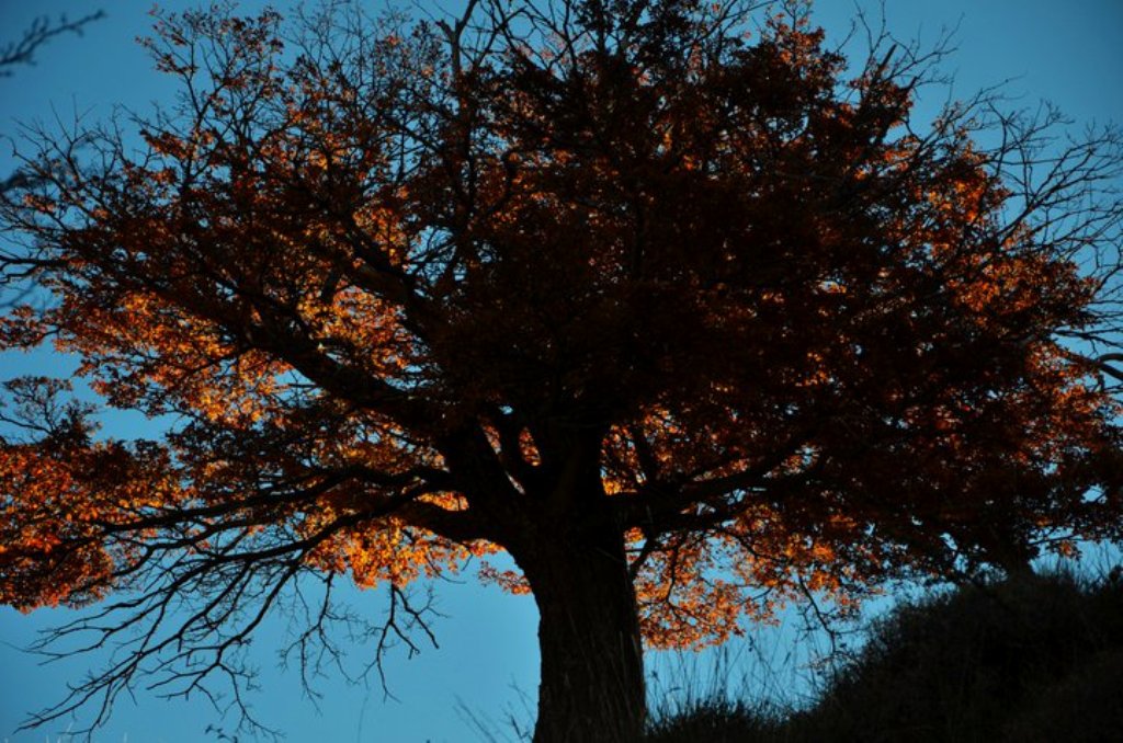 El Chaltén por Andy Bier - Fotografía : Revista El Bosco