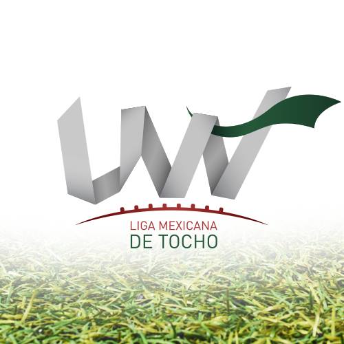 Liga Mexicana de Tocho ~ zona TOCHO