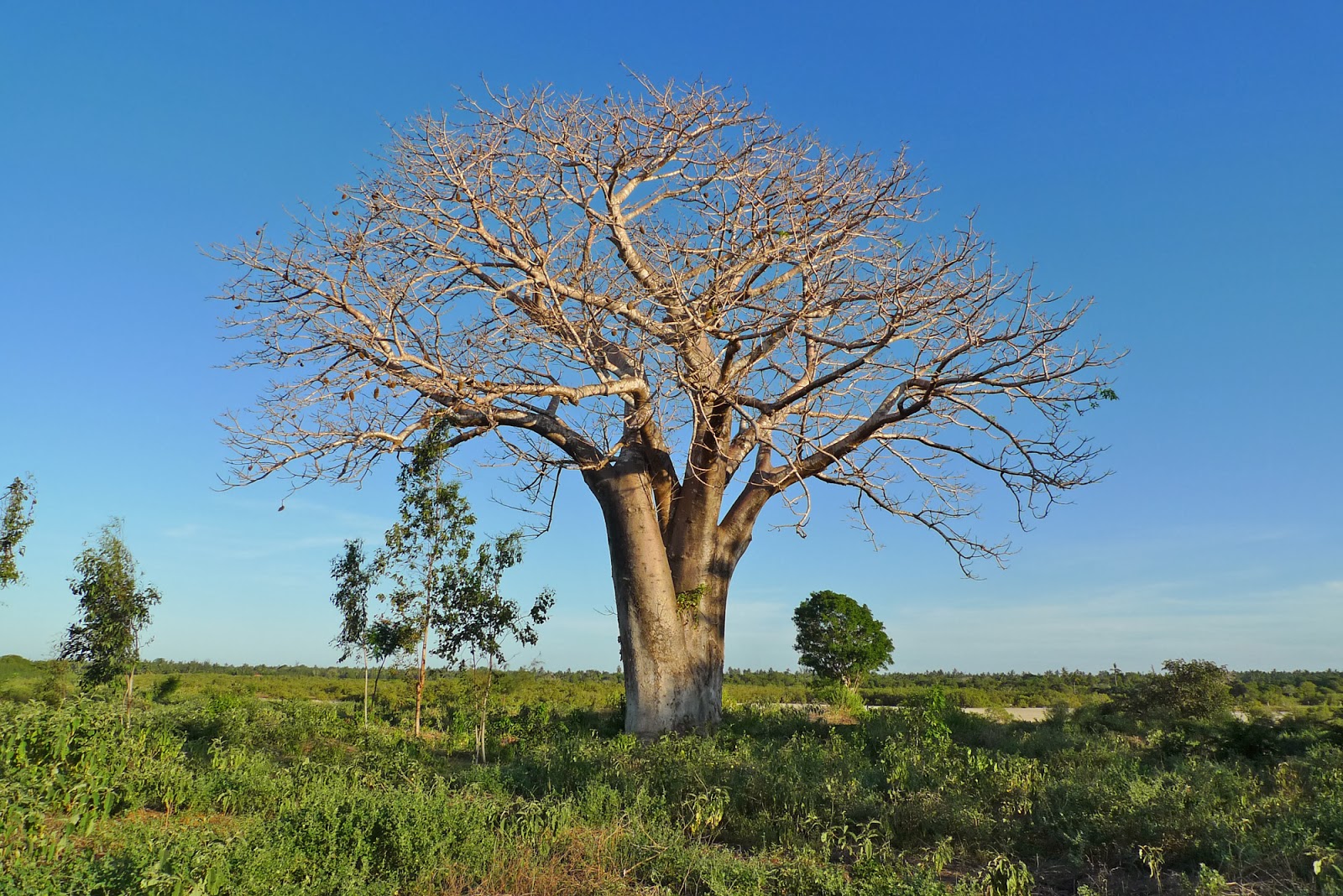 Simon and Karen Spavin: Kenya snaps