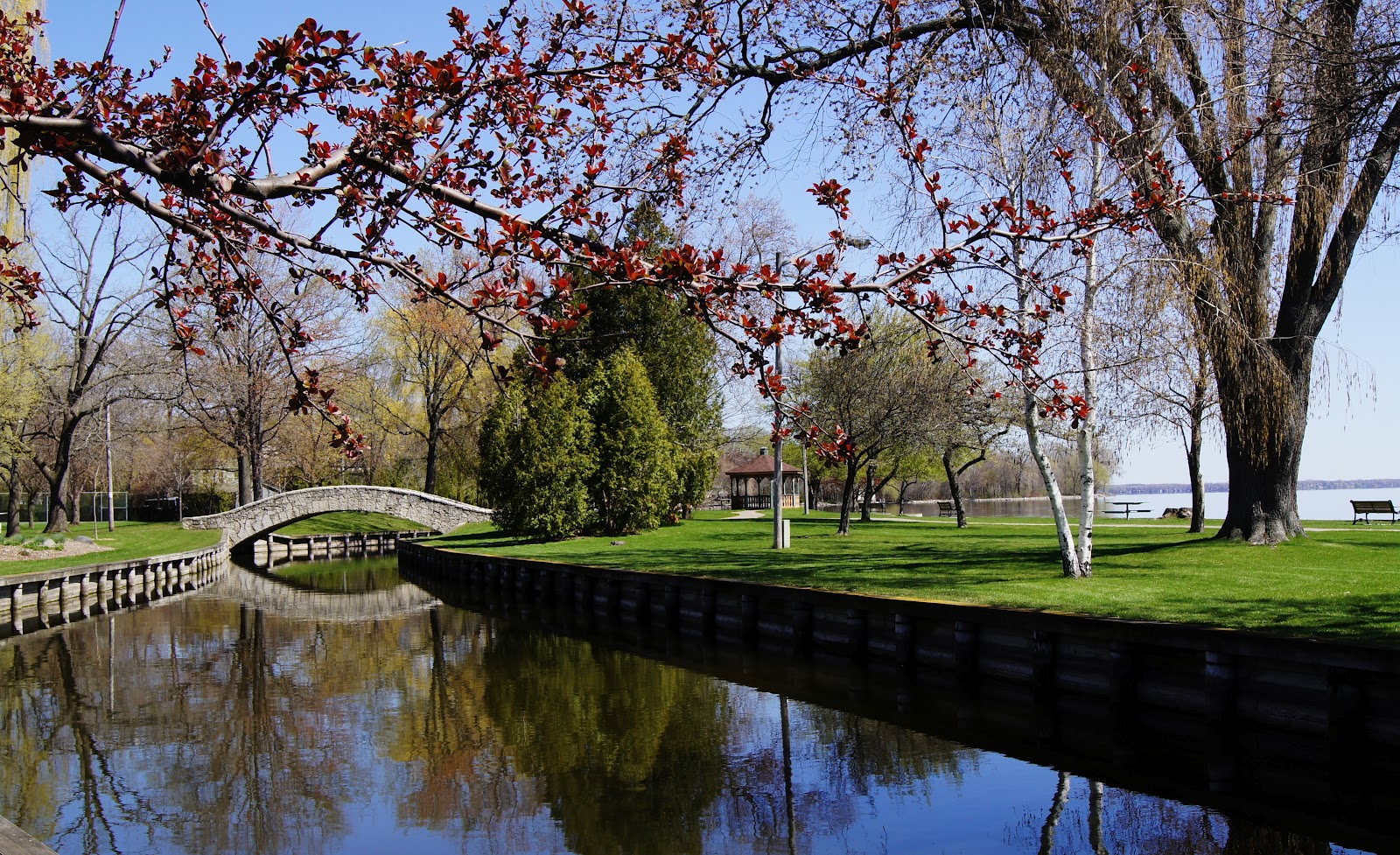 Collections by Carol: Green Green Grass and Blue Blue Skies