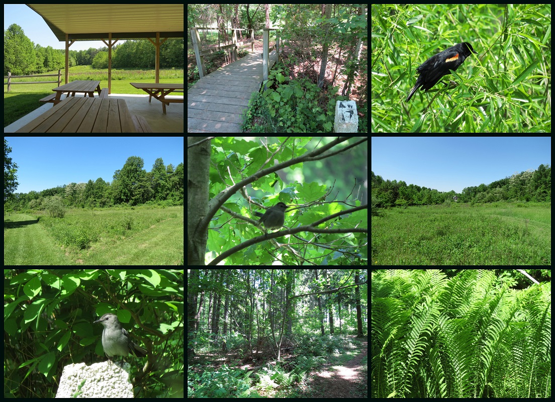 Viewing nature with Eileen: Charlotte's Quest Nature Center