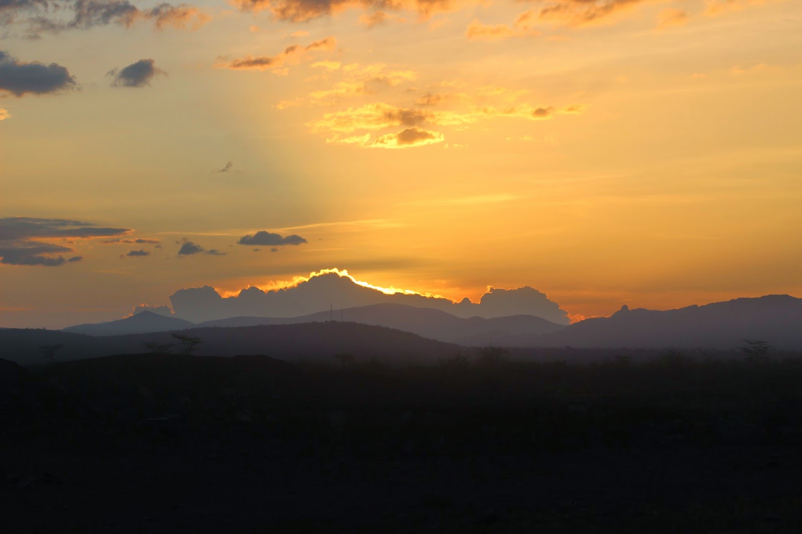 Souvenir Chronicles: AFRICA: BUFFALO SPRINGS NATIONAL RESERVE DAY 1 ...